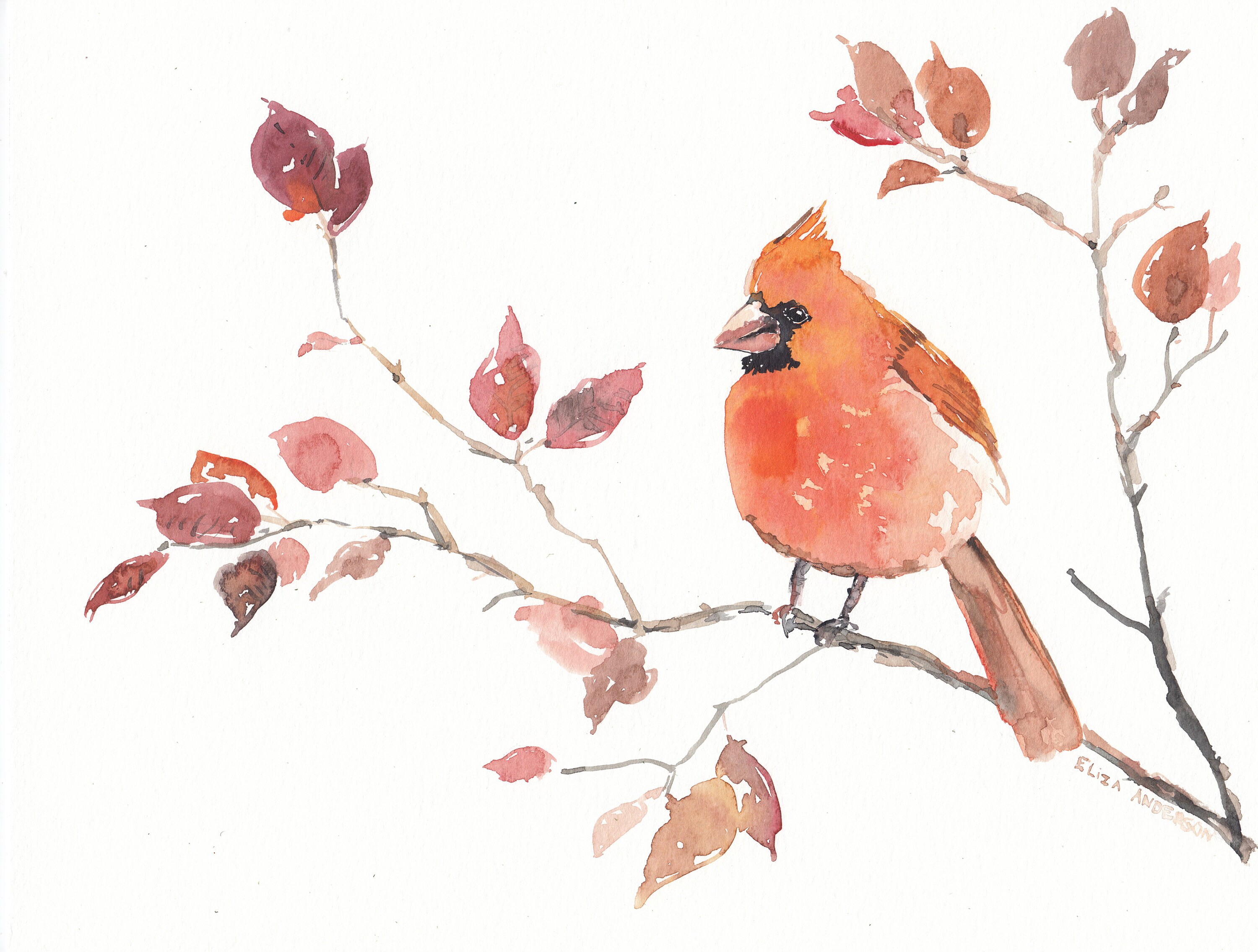 Home & Living Wall Hangings Original Watercolour Bird Painting Swagger ...