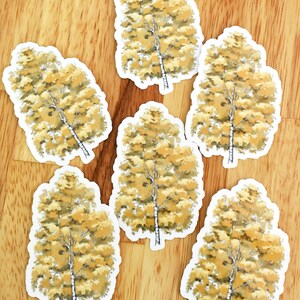 Birch Tree Waterproof Vinyl Sticker, Tree Sticker for Laptop, Water ...