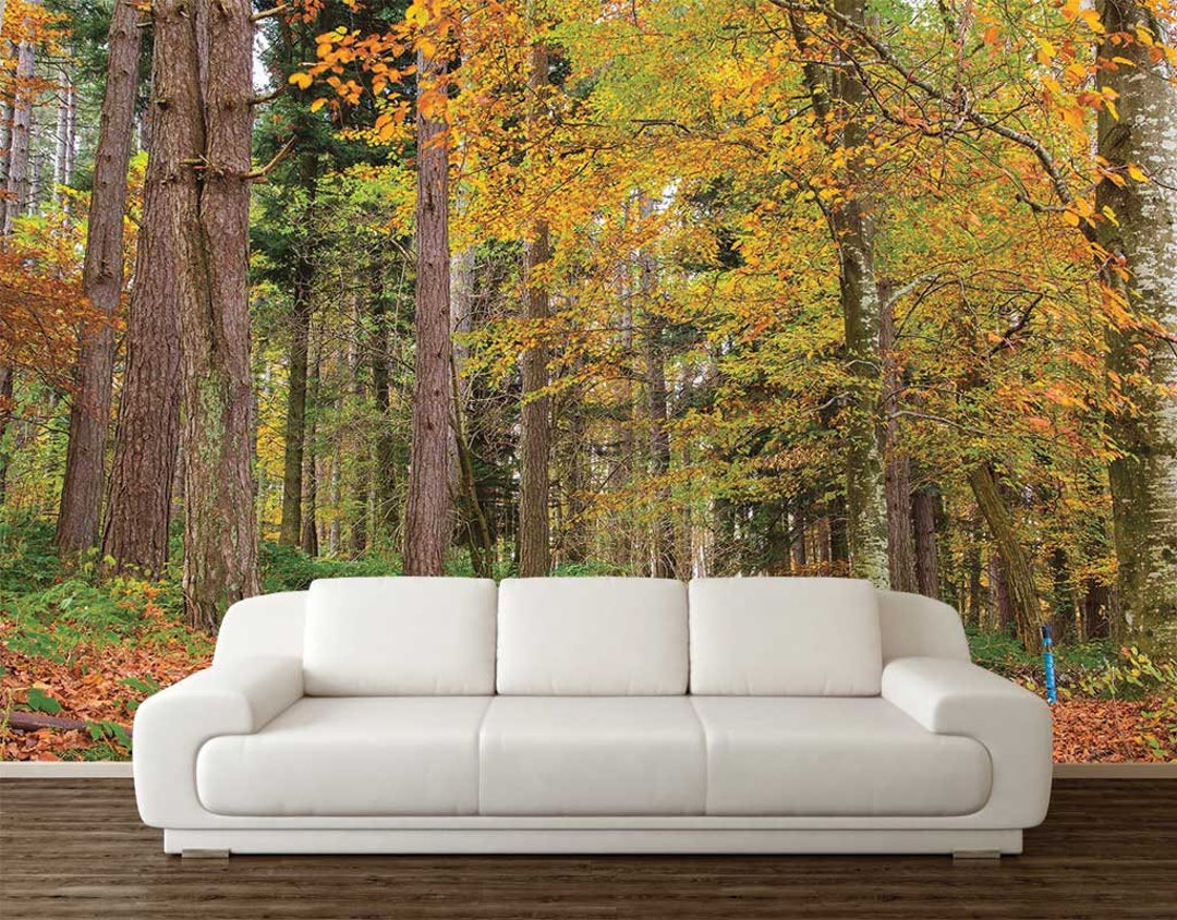 Woodland Wall Mural, Autumn Wallpaper, FOREST WALL DECOR, Woods Wall ...