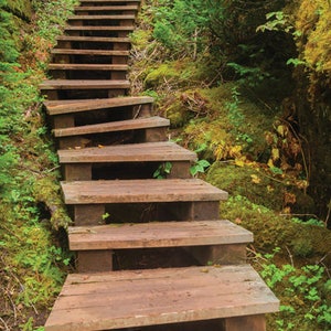 Forest Stairway Door Decal: Self-adhesive Vinyl Decor - Etsy