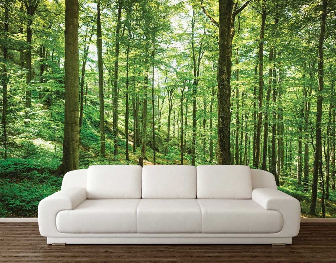 Forest Wall Decal, Sunset Wall Covering, Nature Wall Mural, Peel and ...