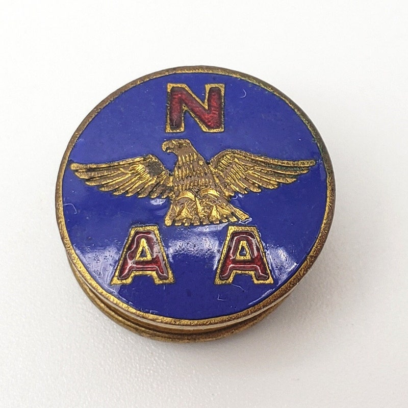 Antique Eagle Pin - Etsy