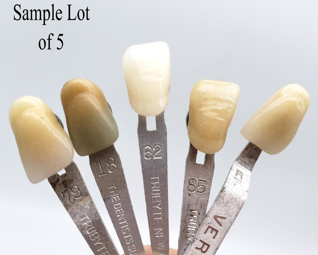 Lot of 5 Vintage Dentist Teeth Pieces Old Dental Office Supply Altered ...