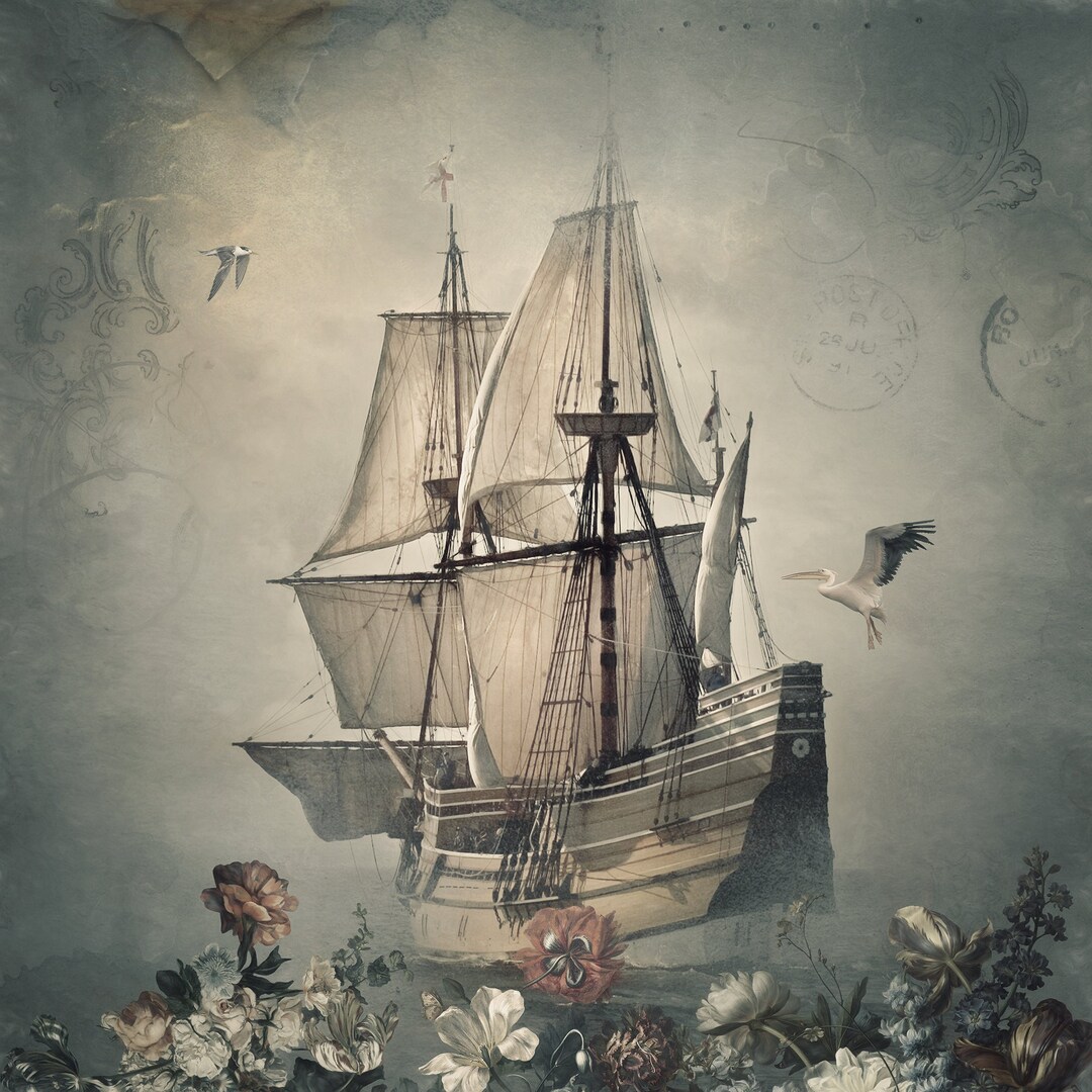 Art, Wall Décor, Mayflower, Ship, Sails, Flowers, Pilgrims, Seagull ...