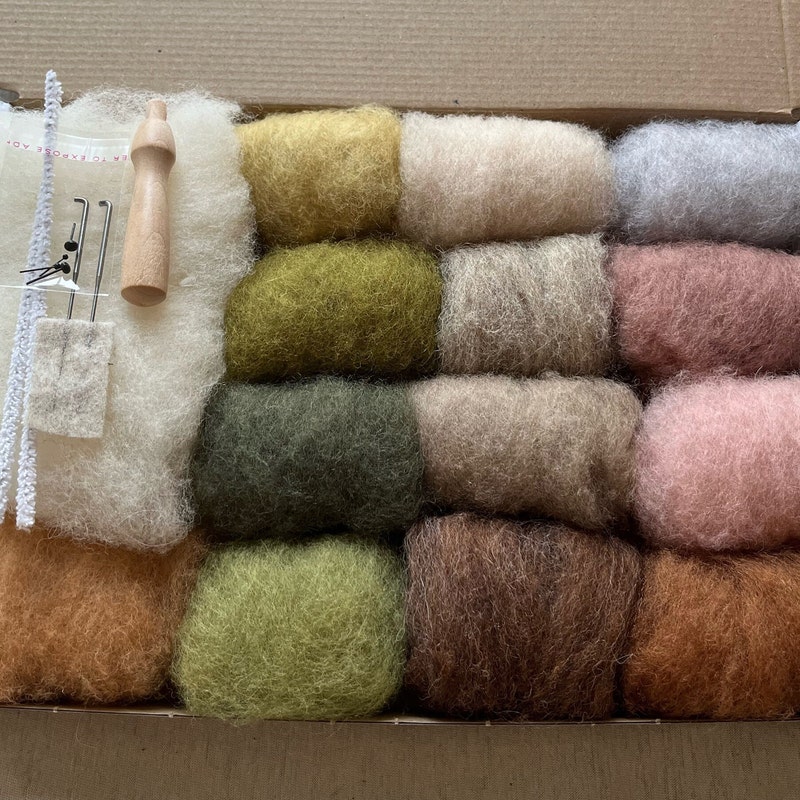 Needle Felting Kit - Etsy