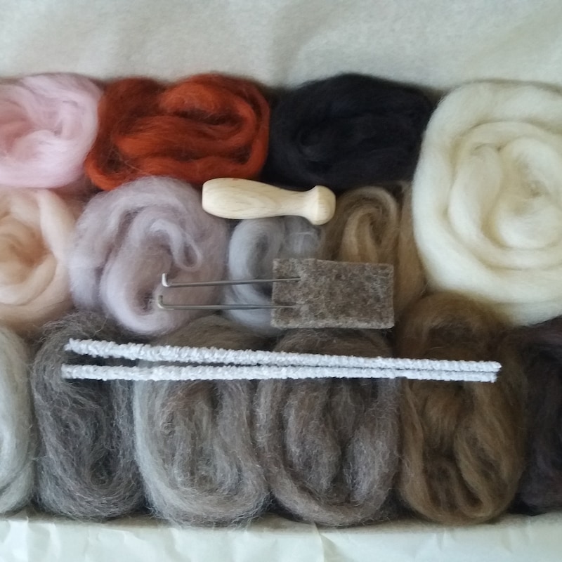 Beginner Felting Kit - Etsy
