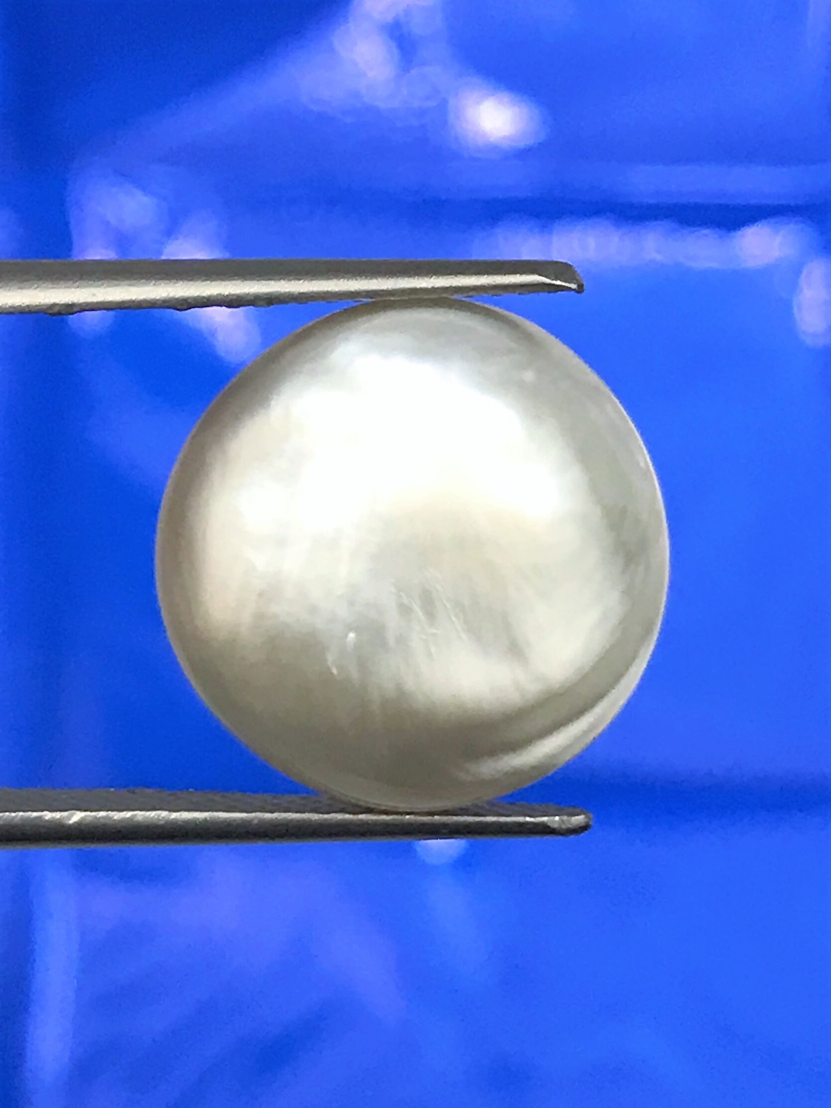 Natural Real PEARL | SSEF Certified 15.90 Carats Shiny White Lustrous ...