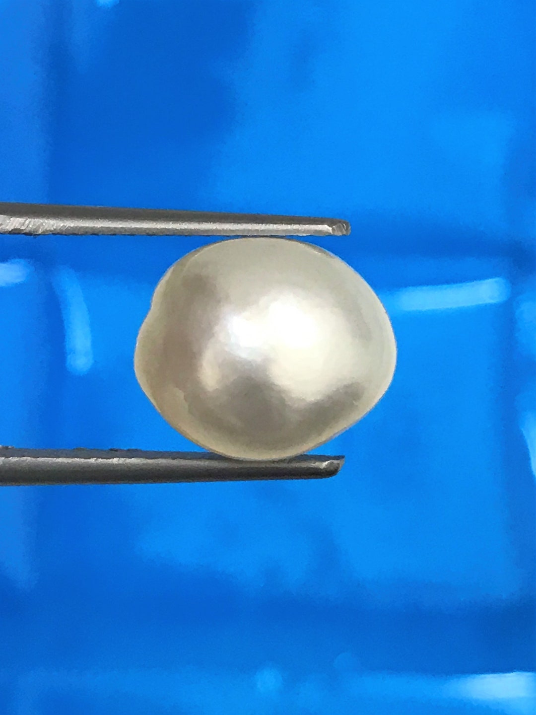 Natural REAL PEARL | Certified 6.87 Carats Shiny White Lustrous Skin ...