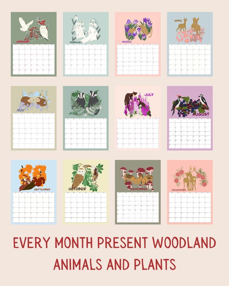 2026 Woodland Animals Calendar | Illustrated Nature Wall Calendar ...