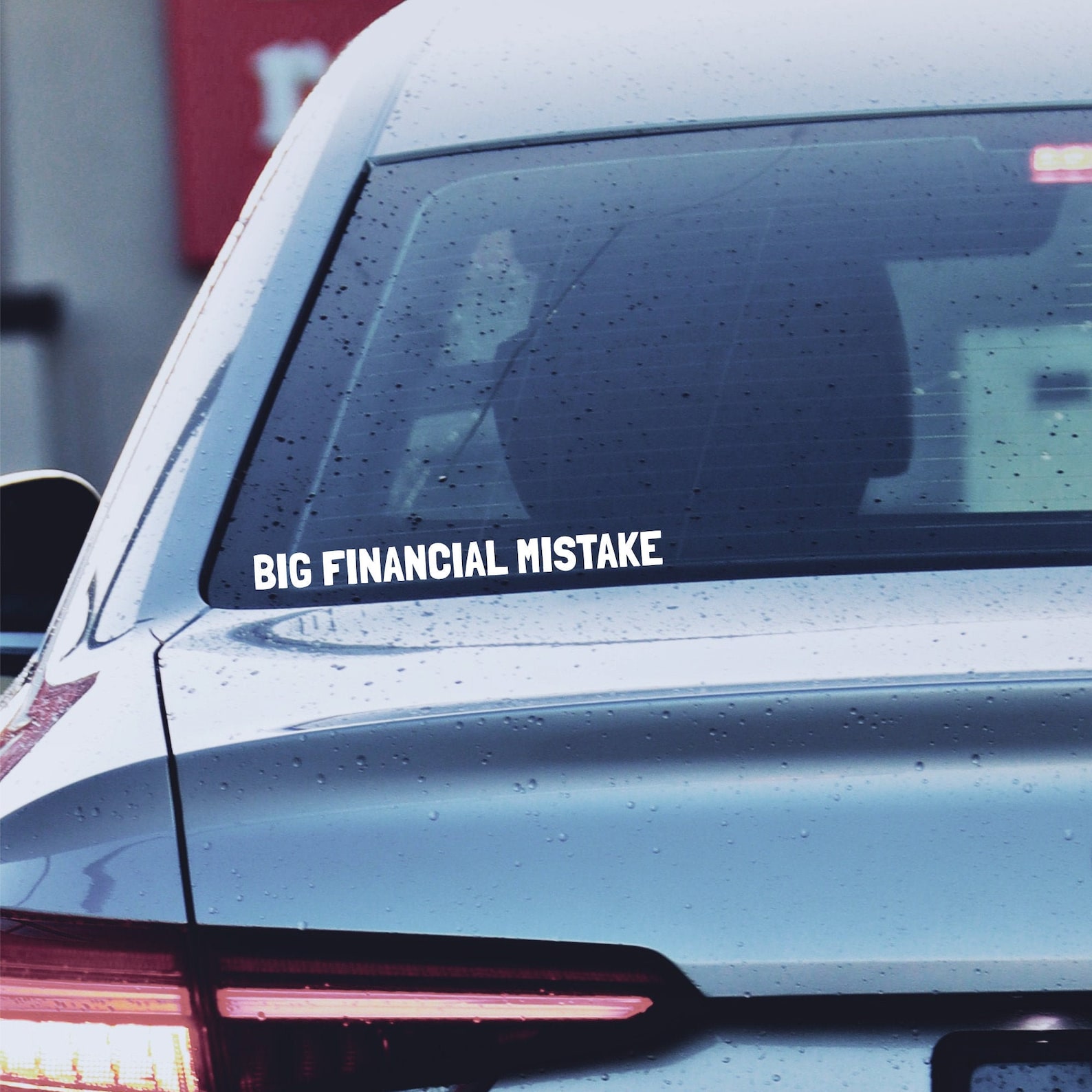 Big Financial Mistake Decal Vinyl Financial Mistake Sticker - Etsy UK