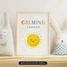 Set of 3 Calming Corner, Emotions Chart Printable, Feelings Poster ...