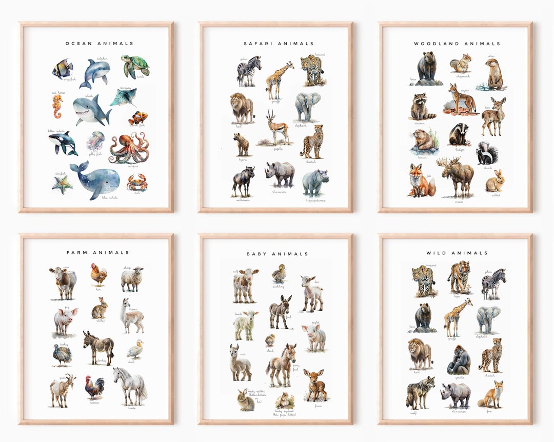6 Animal Poster Bundle Wild Animals Farm Animals Sea - Etsy