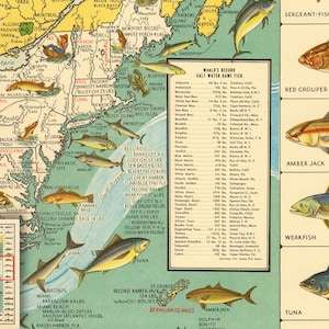 Big Game Fish Digital Poster Map / Fishes Animals Fine Art / Large USA ...