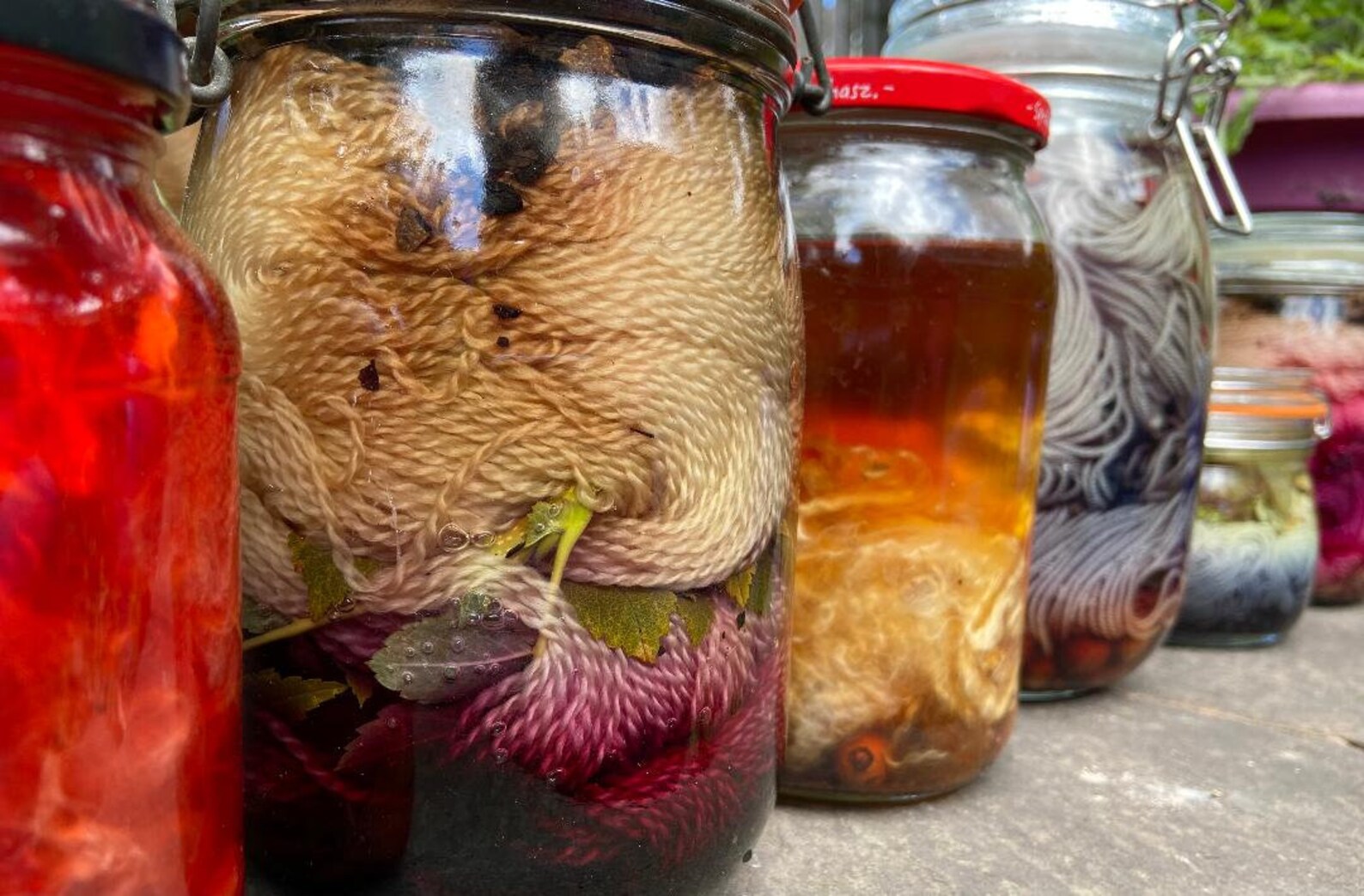 Natural Dye Plant Dye Dry Flower Dye botanical Dyes - Etsy