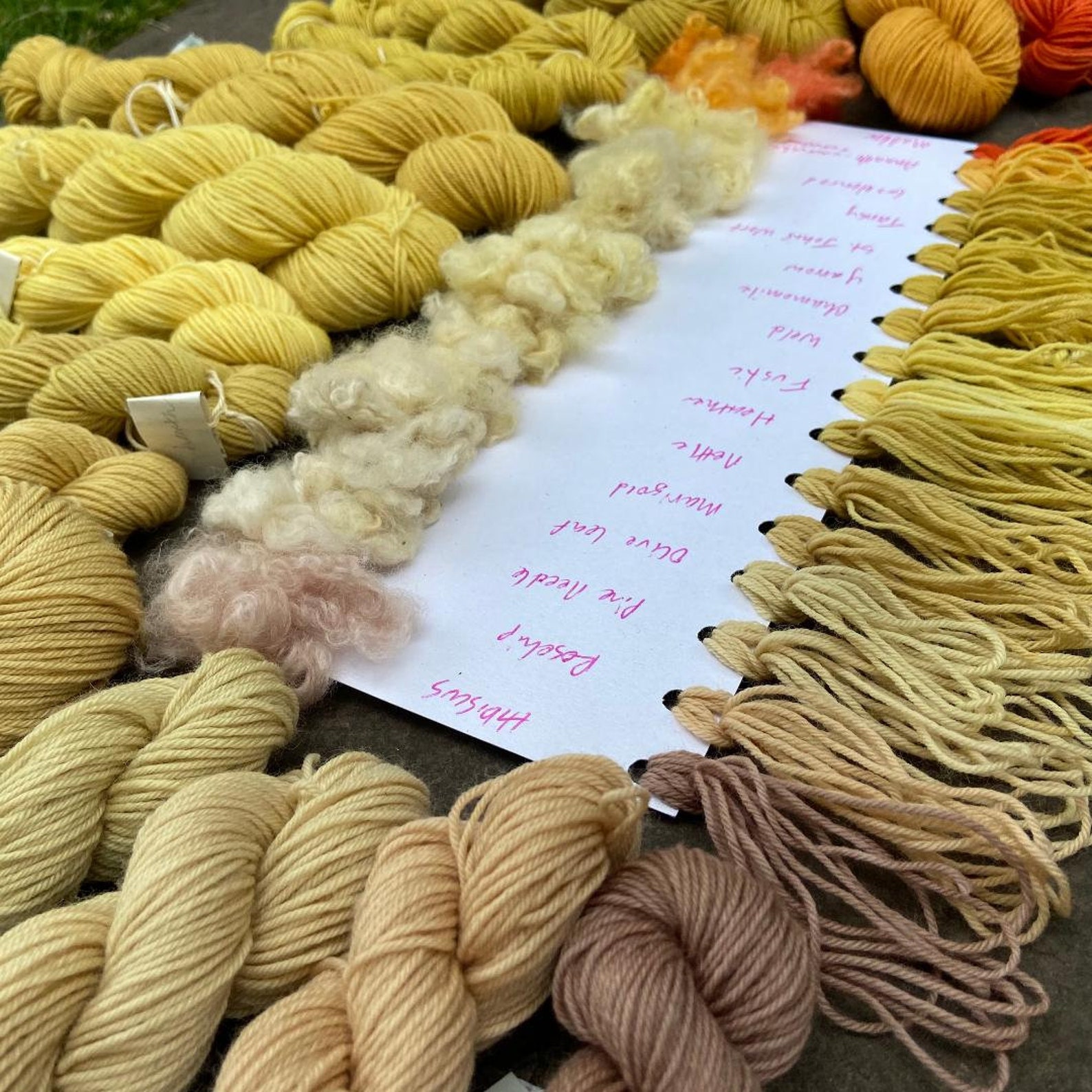 One Pot Dye Kit Natural Dye Plant Dye Natural Slow Craft - Etsy UK