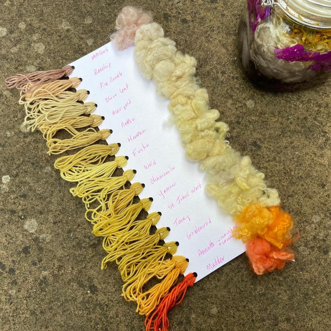 Natural Dye Plant Dye Dry Flower Dye botanical Dyes - Etsy