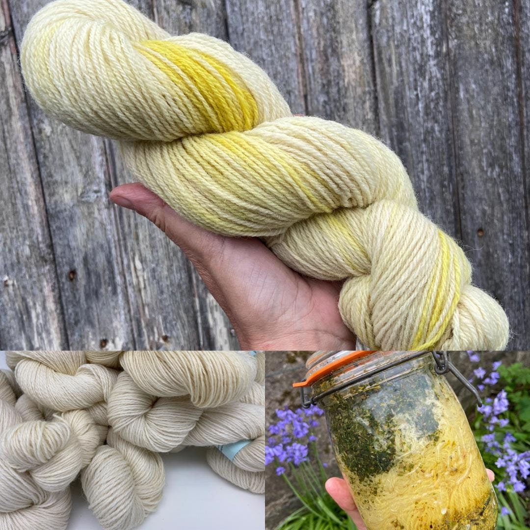 Weld and Nettle Solar Dye Yarn Kit Natural Plant Dye - Etsy