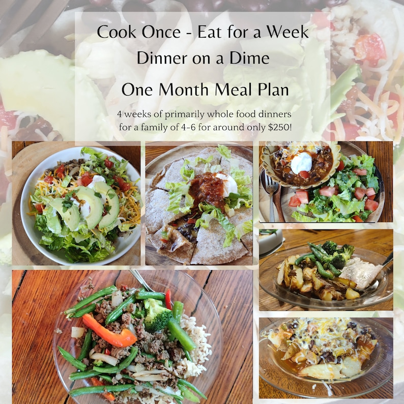 Dinner on a Dime Meal Plan for Families - Etsy