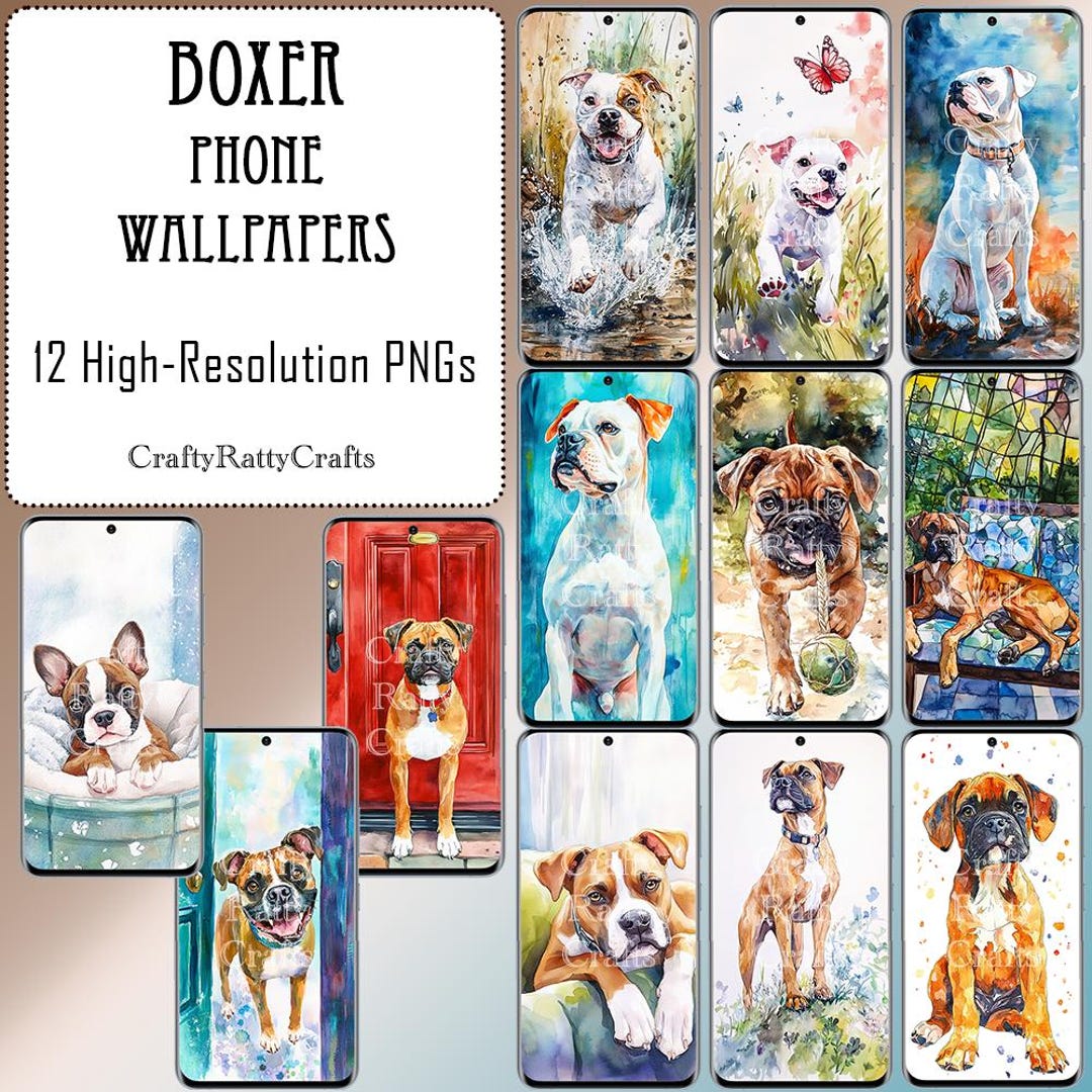 Boxer Phone Wallpapers | High Resolution PNG Files Suitable for All ...