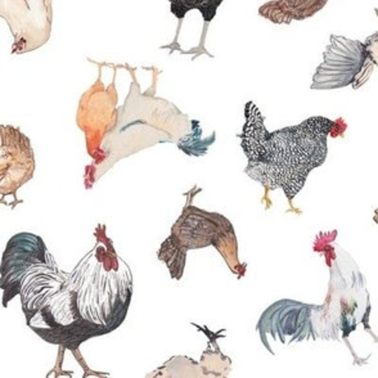 Organic Cotton Chicken Print Baby Bodysuit: Unisex Farm Style - Etsy
