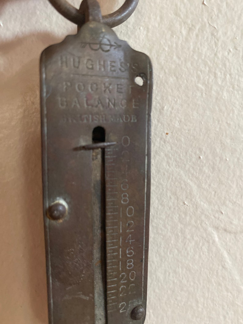 Antique Brass Hughes’s Hanging Brass 24lb Scale- Fish Scale or Plant ...