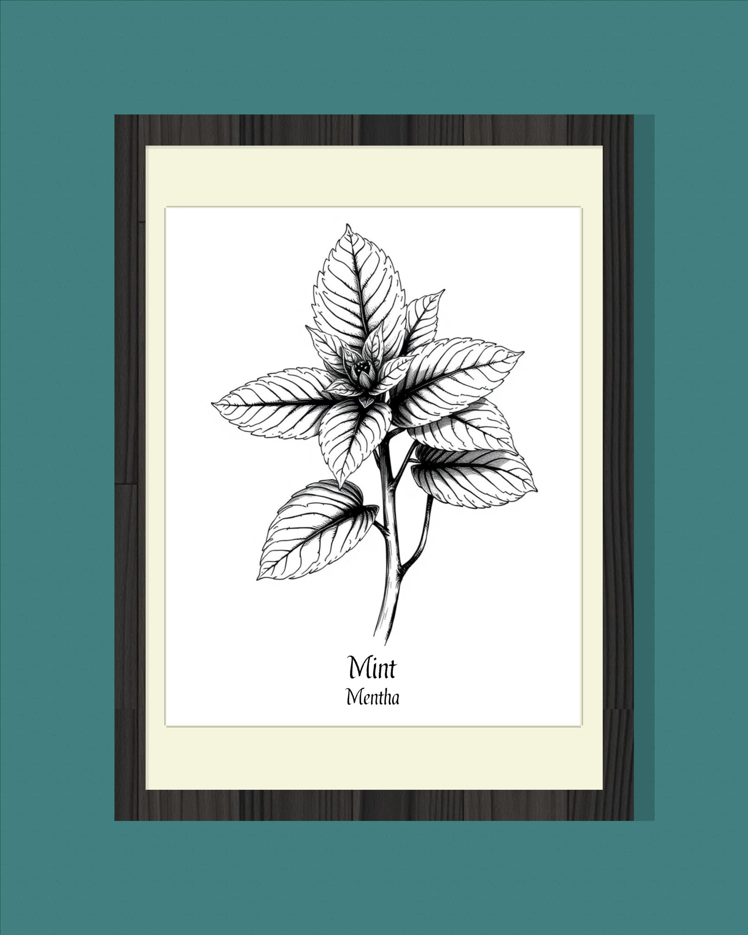 Minimalist Botanical Prints – Medicinal Herb Set of 4 – Chamomile ...