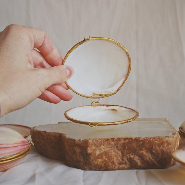 Seashell Jewelry Box - Etsy