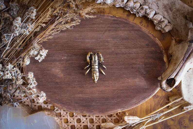 Antique Brass Scorpion Figurine Life Size Insects Specimen Bugs ...