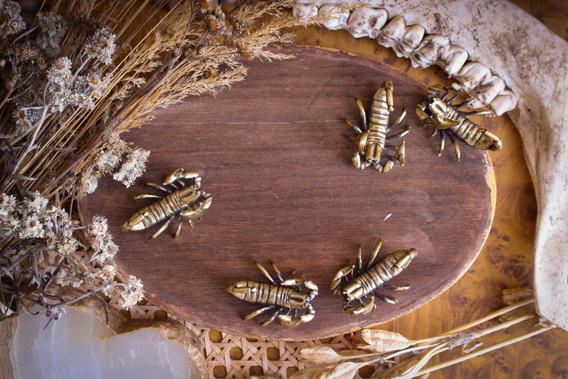 Antique Brass Scorpion Figurine Life Size Insects Specimen Bugs ...