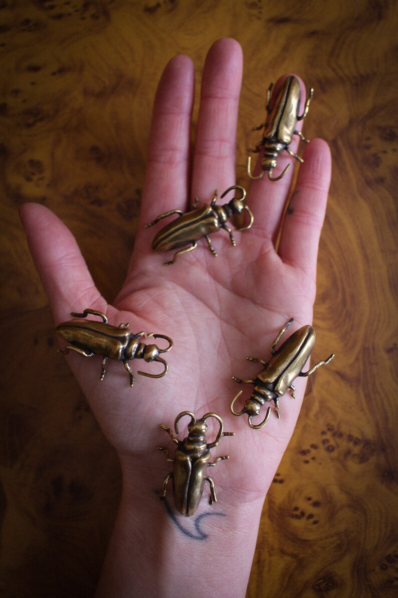 Antique Brass Long Horn Beetle Life Size Insects Specimen Bugs - Etsy