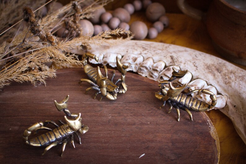 Antique Brass Scorpion Figurine Life Size Insects Specimen Bugs ...