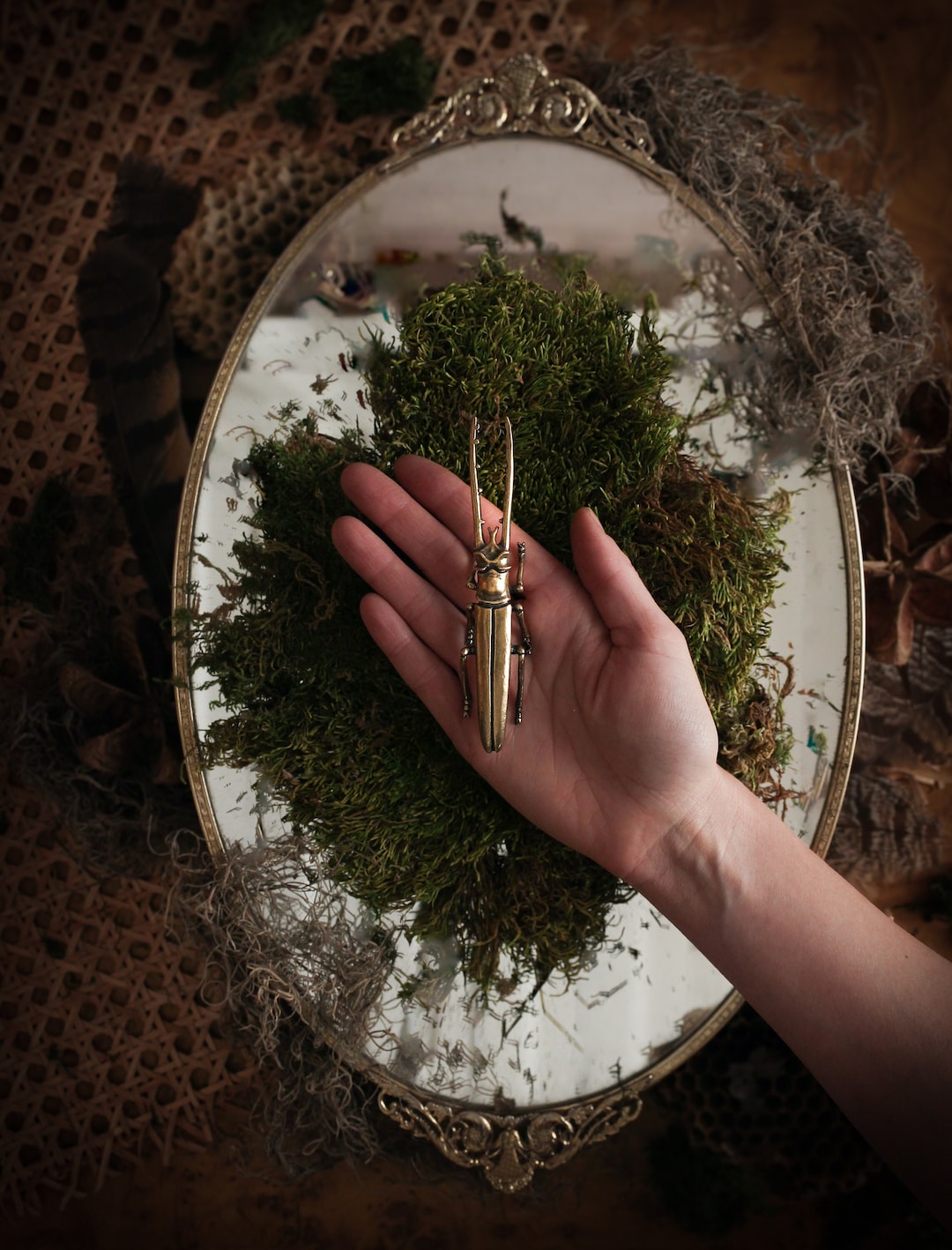 Large Brass Hercules Stag Beetle Lifesize Insects Vintage Antique ...