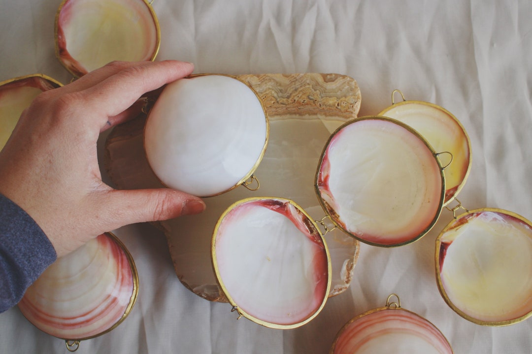 Clam Shell Ring Box Seashell Ring Holder Trinket Dish Ocean - Etsy
