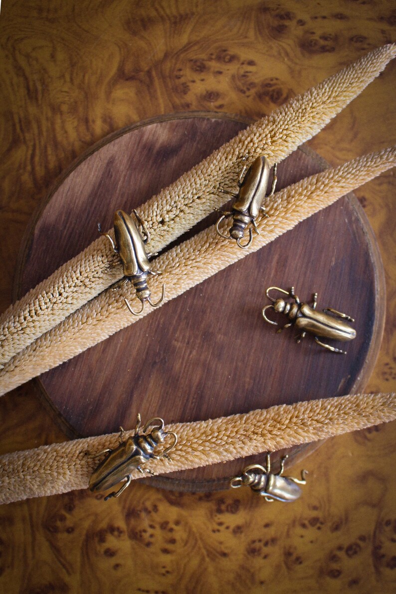 Antique Brass Long Horn Beetle Life Size Insects Specimen Bugs - Etsy