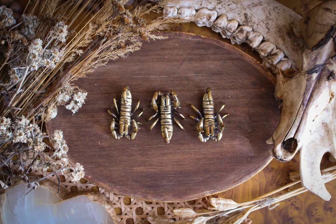 Antique Brass Scorpion Figurine Life Size Insects Specimen Bugs ...