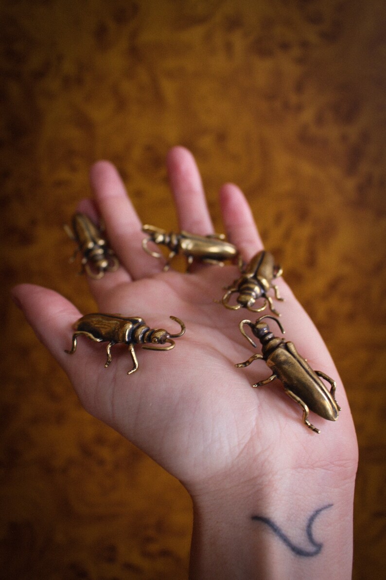 Antique Brass Long Horn Beetle Life Size Insects Specimen Bugs - Etsy