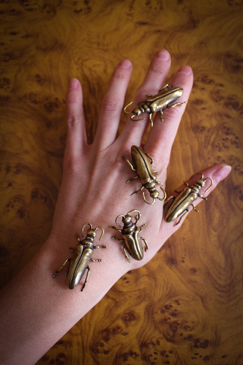 Antique Brass Long Horn Beetle Life Size Insects Specimen Bugs - Etsy