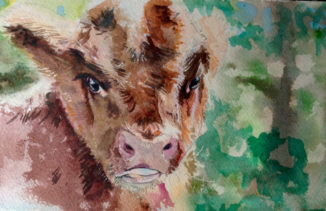 Baby Highlander - Etsy