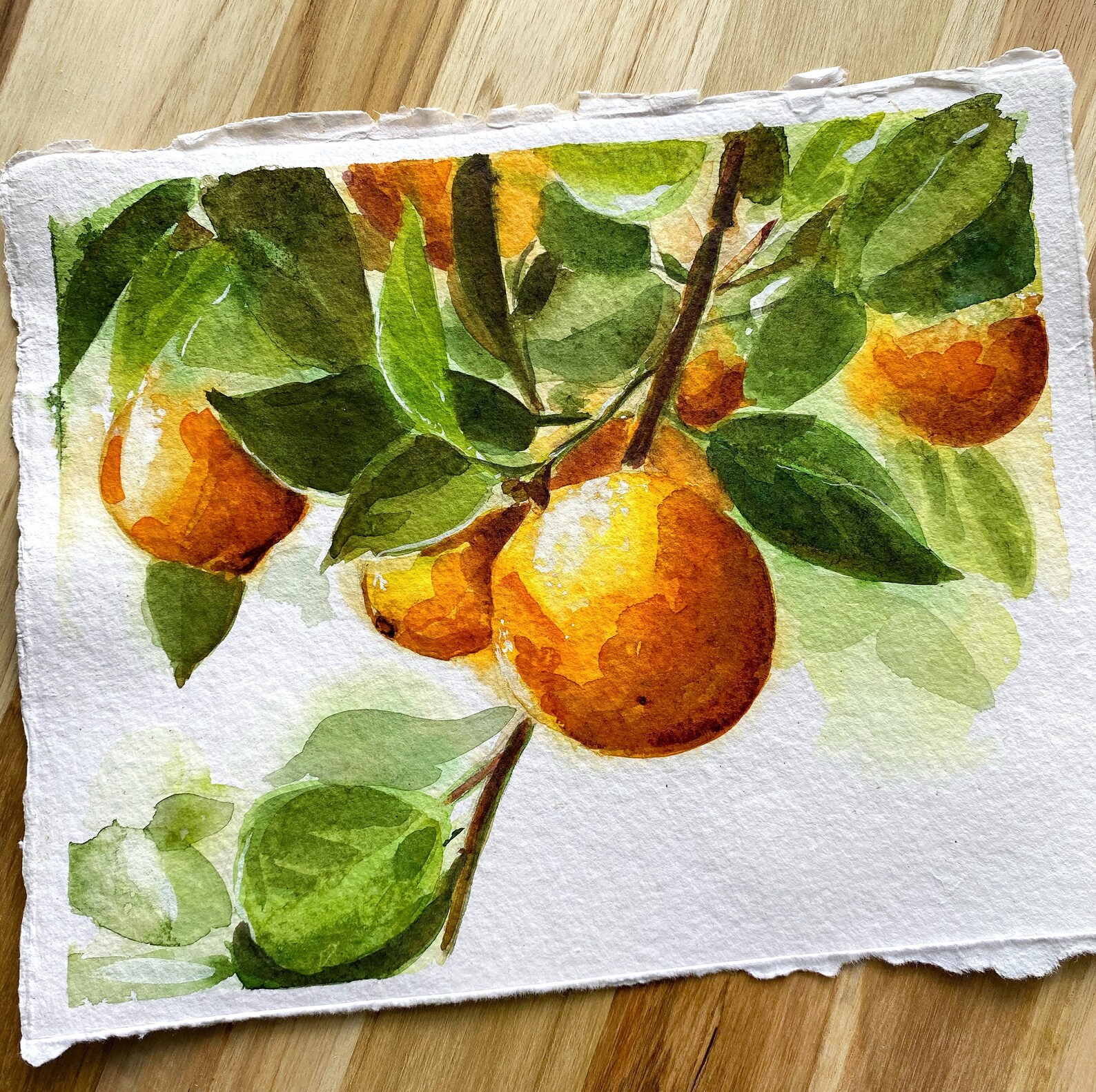 Orange Tree Watercolor - Etsy