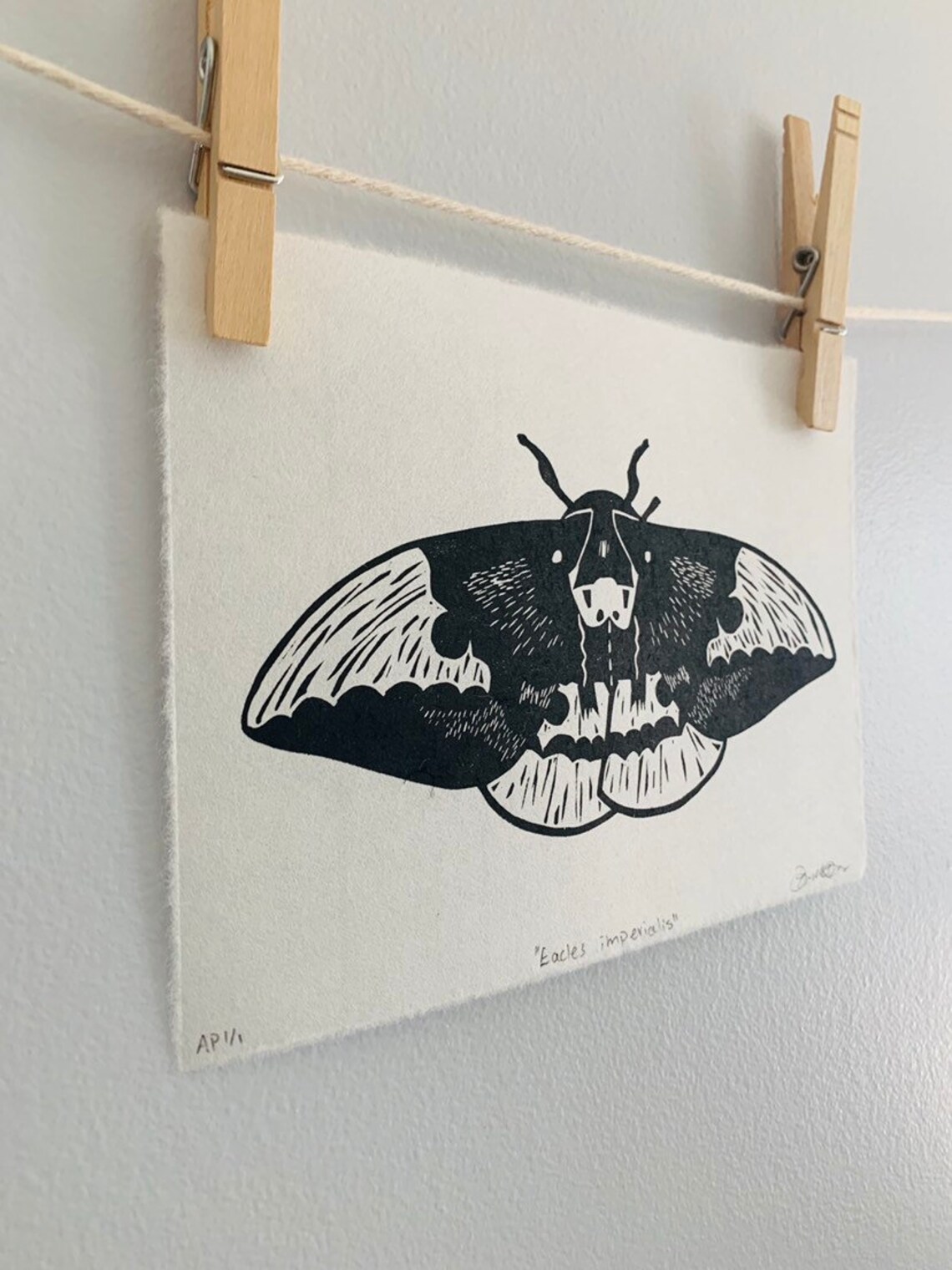 Original Hand-pressed Limited Edition Imperial Moth Linocut | Etsy