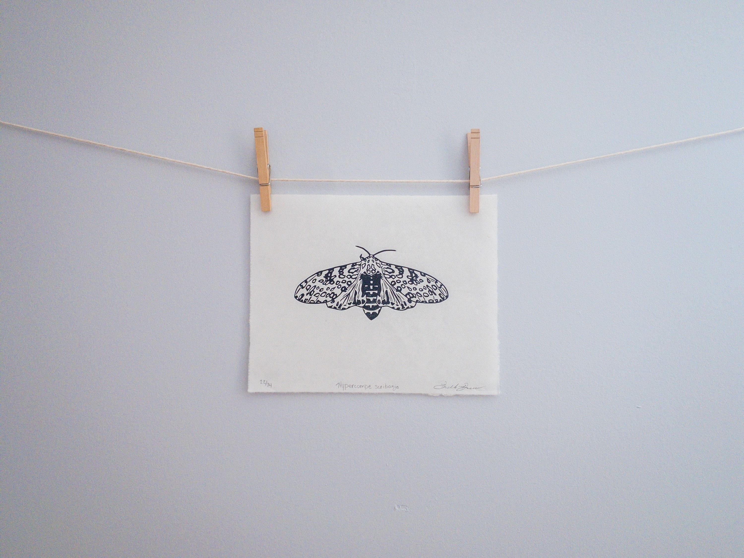 Original Handmade Limited Edition Giant Leopard Moth Linocut - Etsy