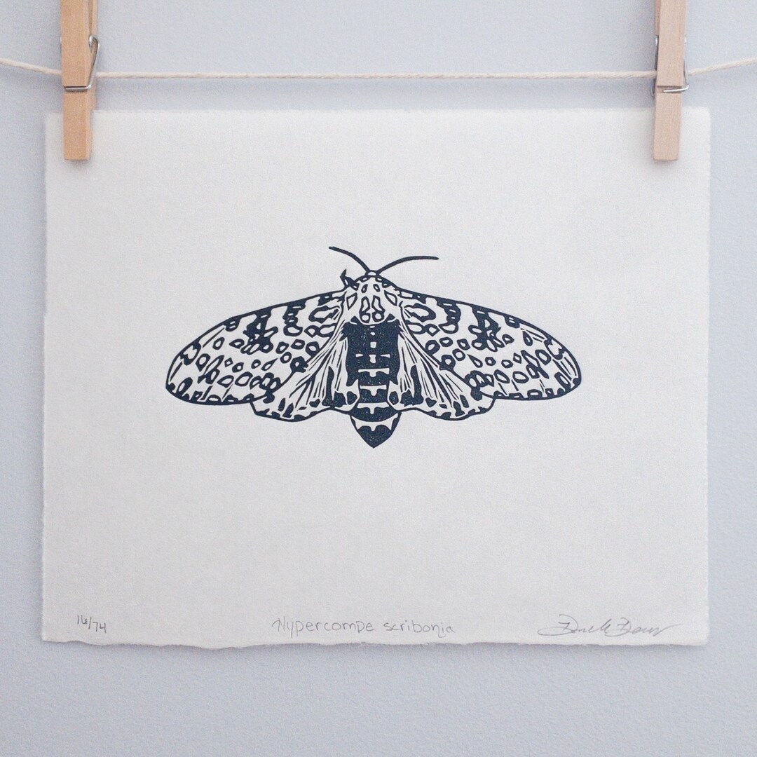 Original Handmade Limited Edition Giant Leopard Moth Linocut Print ...
