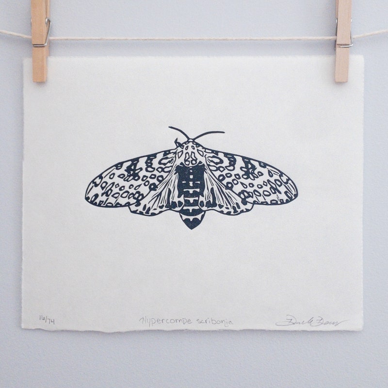 Leopard Moth - Etsy