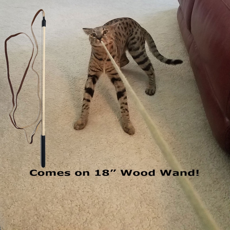 Wood Cool Cat - Etsy