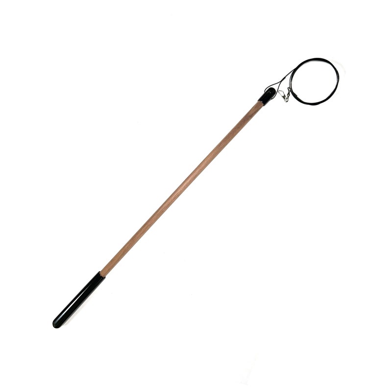 Cat Toy Interactive Bird - Etsy