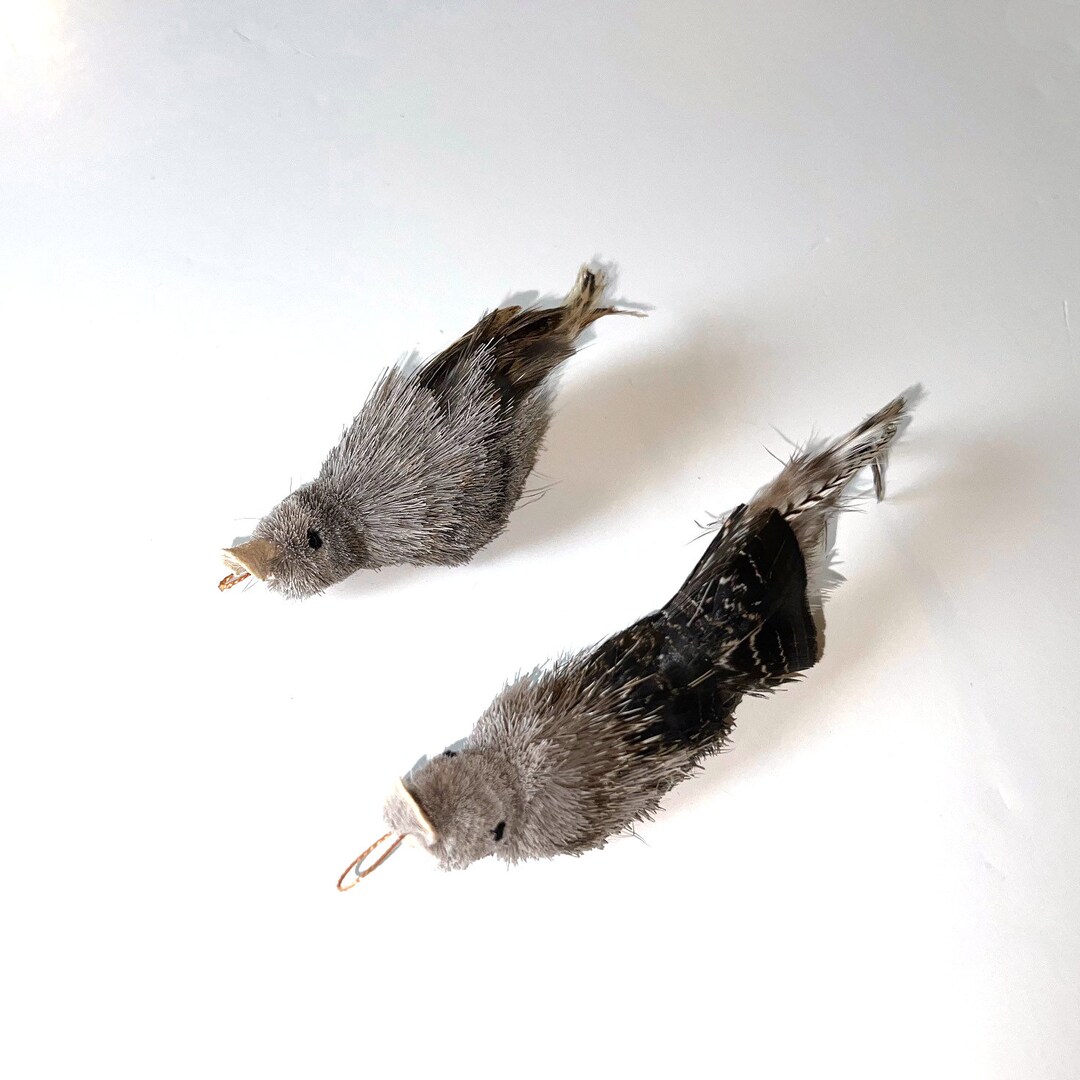 Cat Toy Deer Hair Natural House Finch AND Gila Woodpecker Pack (1 of ...