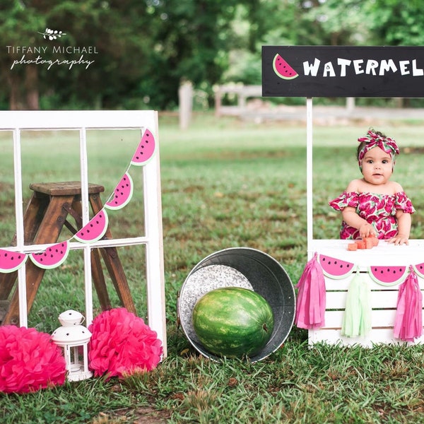 Watermelon Party Decorations - Etsy