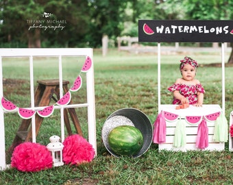 Watermelon Birthday Party | Etsy