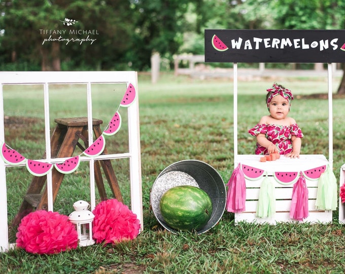Watermelon Garland Watermelon Banner Watermelon Party Watermelon ...