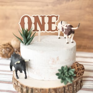 My First Rodeo, First Rodeo Cake Topper, Western First Birthday, Cowboy ...